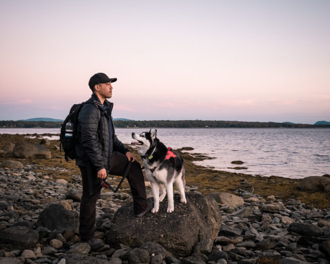 Dog Friendly Hikes in Acadia National Park: A Guide To Where to Stay ...