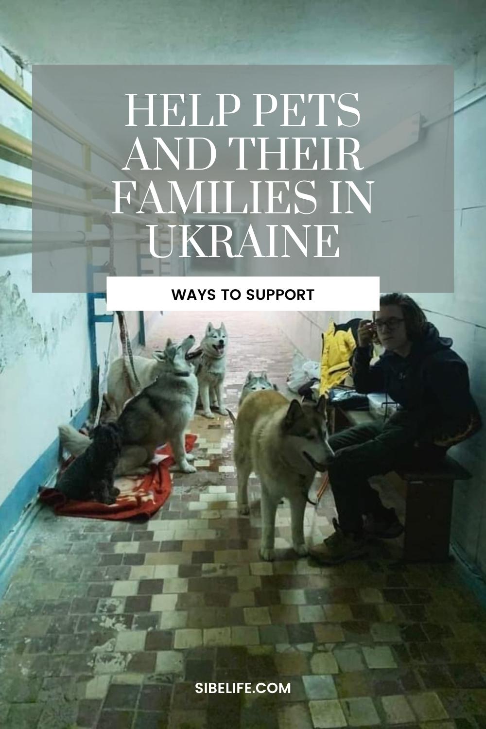 How To Help The Pets And Their Families In Ukraine