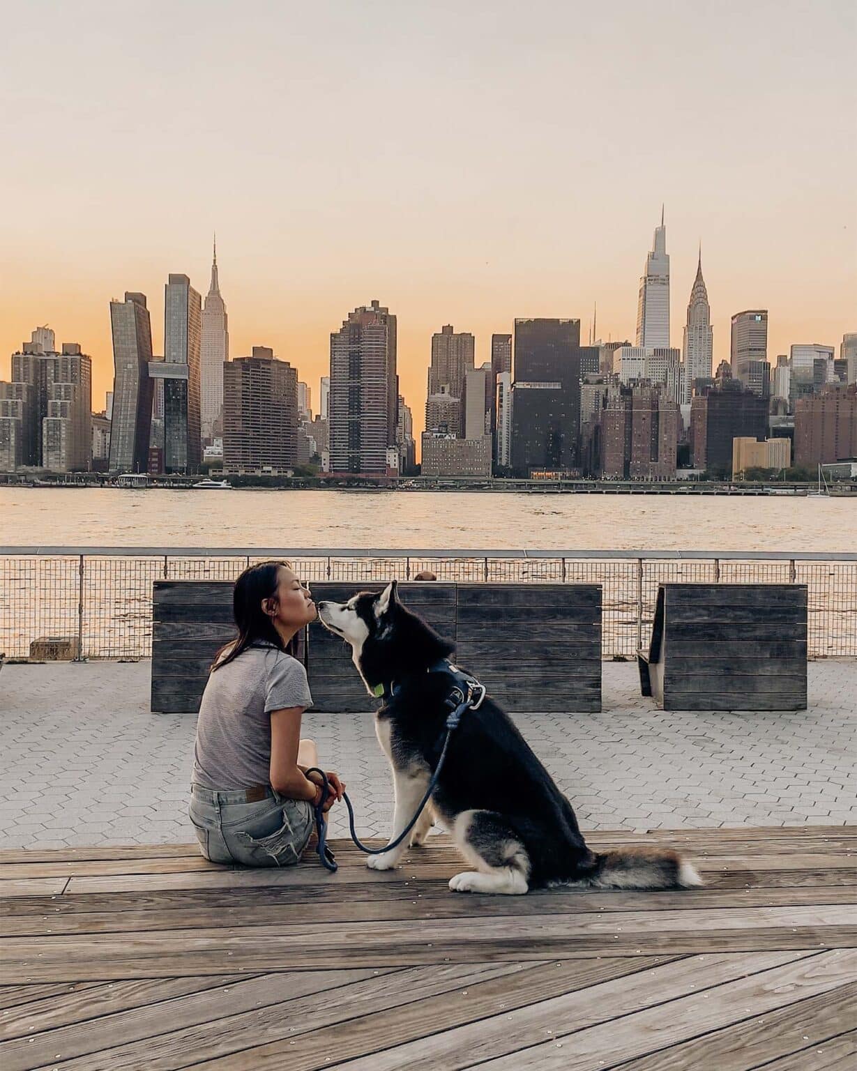 The Ultimate Guide to Exploring Dog-Friendly New York City - ELAINE LE