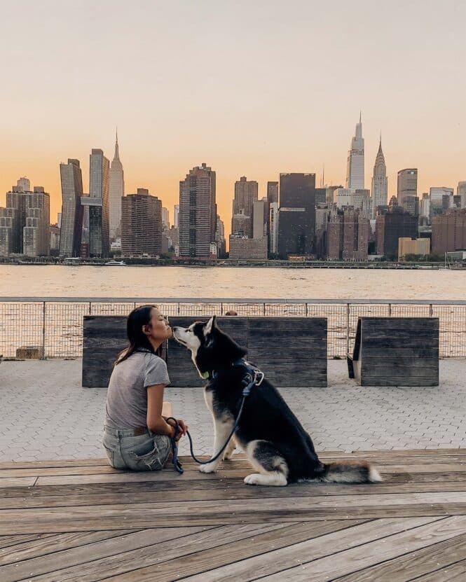 The Ultimate Guide to Exploring Dog-Friendly New York City