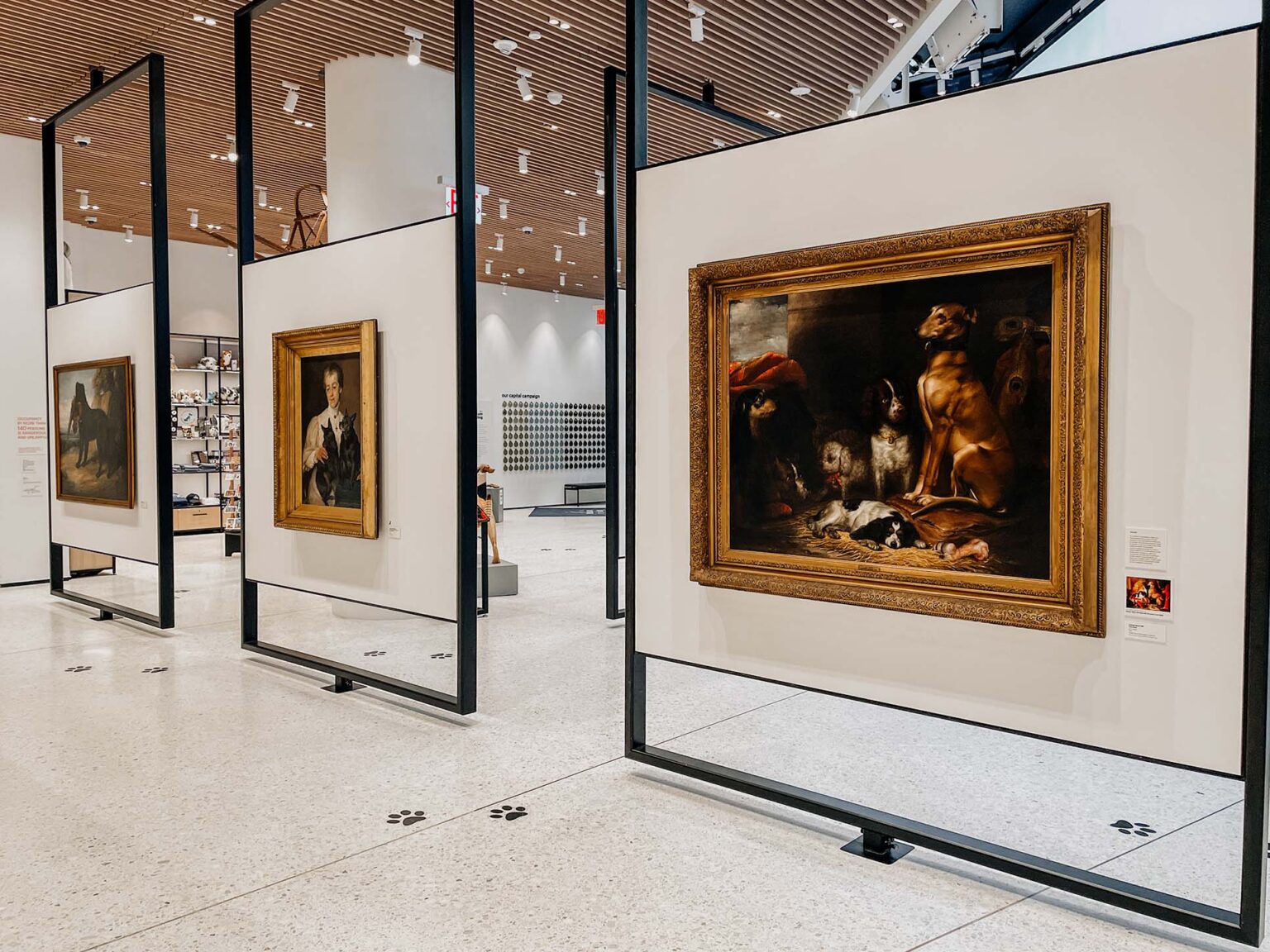 Dog-Friendly Museum in NYC: AKC Museum of the Dog