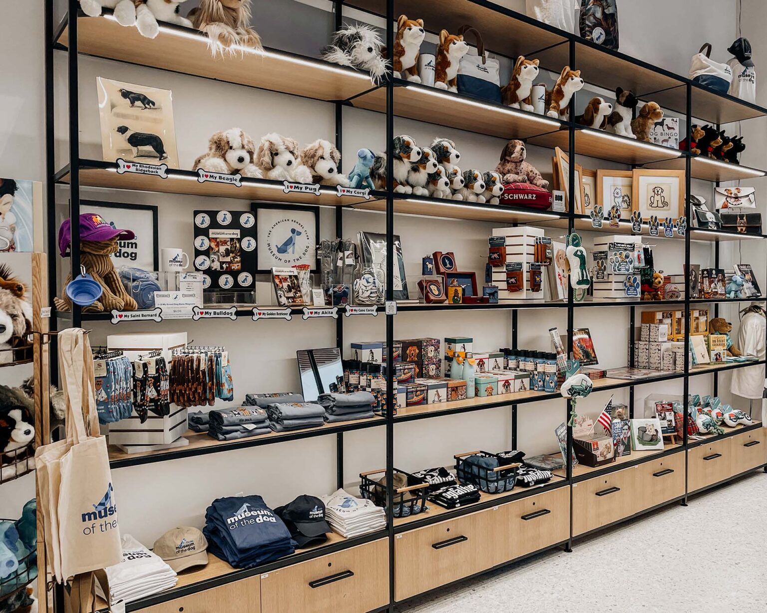 Dog-Friendly Museum in NYC: AKC Museum of the Dog