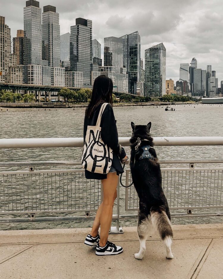 The Ultimate Guide to Exploring Dog-Friendly New York City