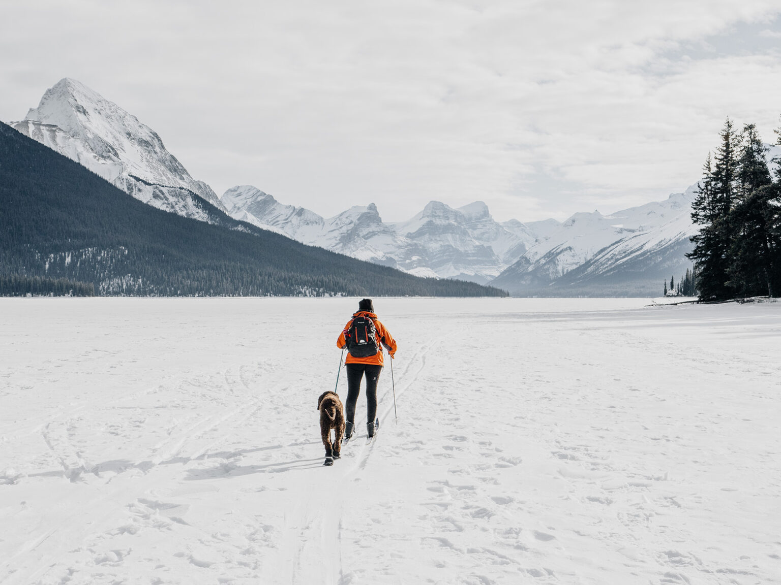America's Best Snowy Retreats: Top 12 Dog Friendly Ski Resorts