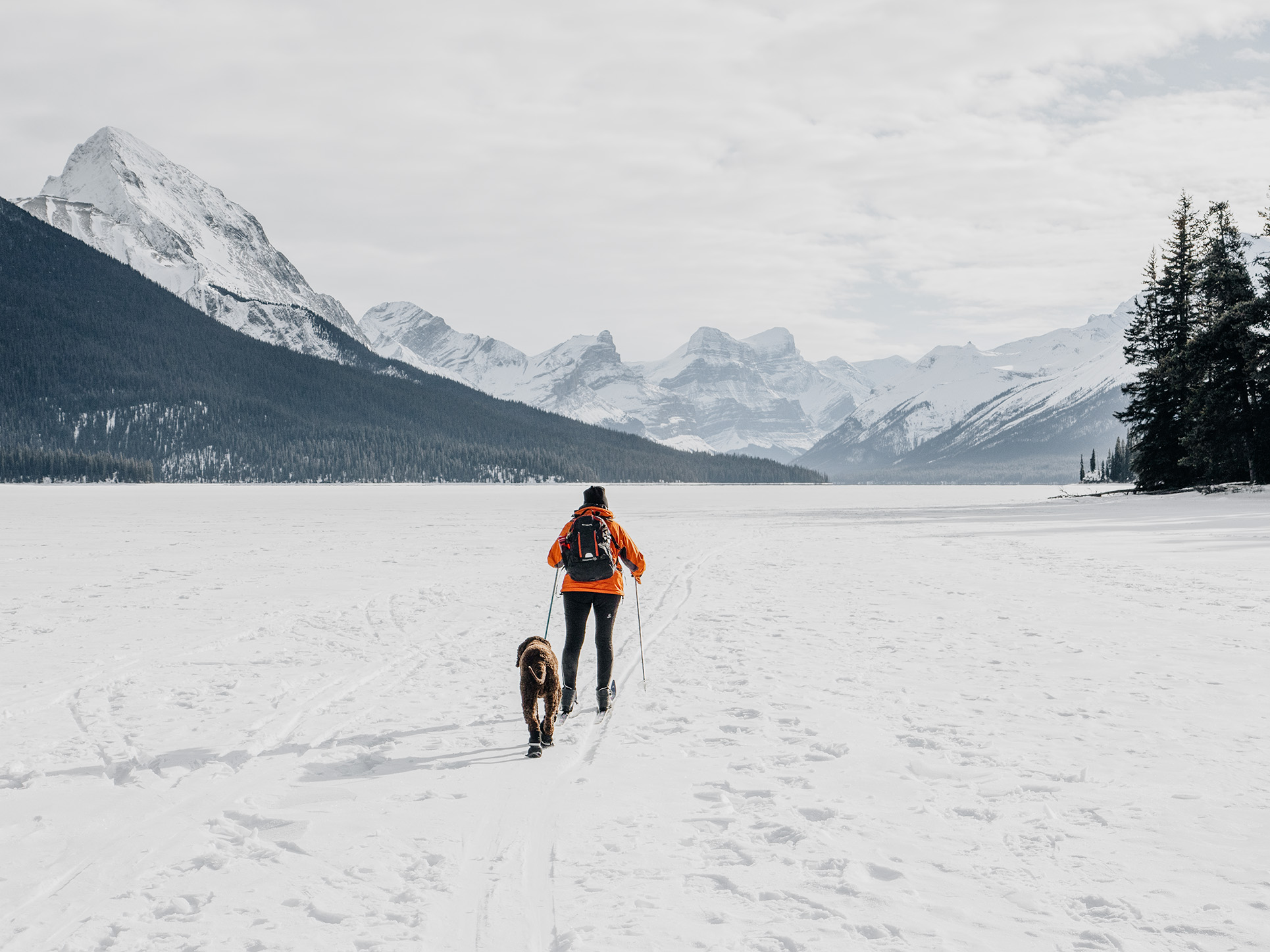 America's Best Snowy Retreats: Top 12 Dog Friendly Ski Resorts