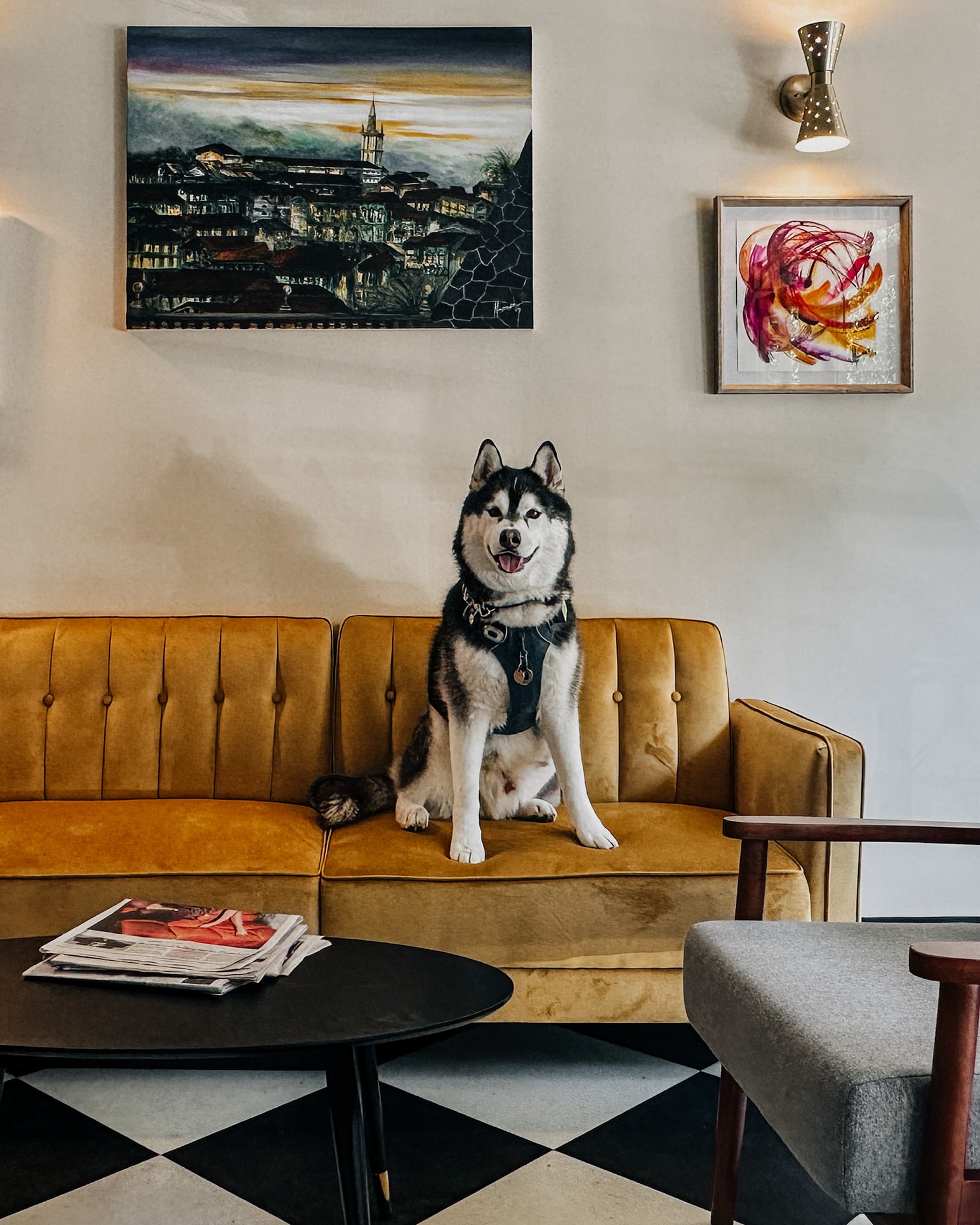 Top 5 Dog Cafes in NYC That Lets Your Dog Inside