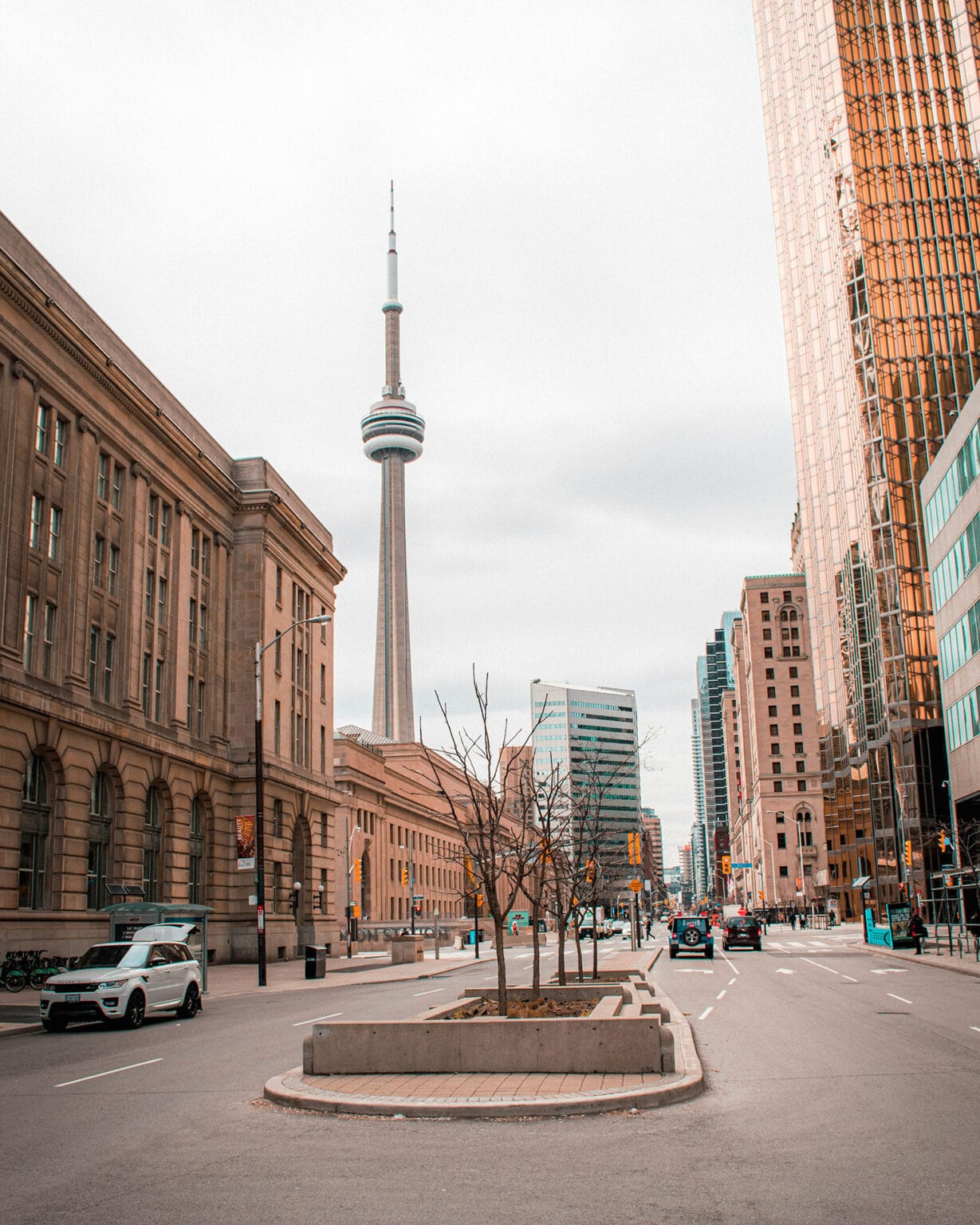 A Guide to Dog-Friendly Toronto: Where to Stay and Explore With your Dog
