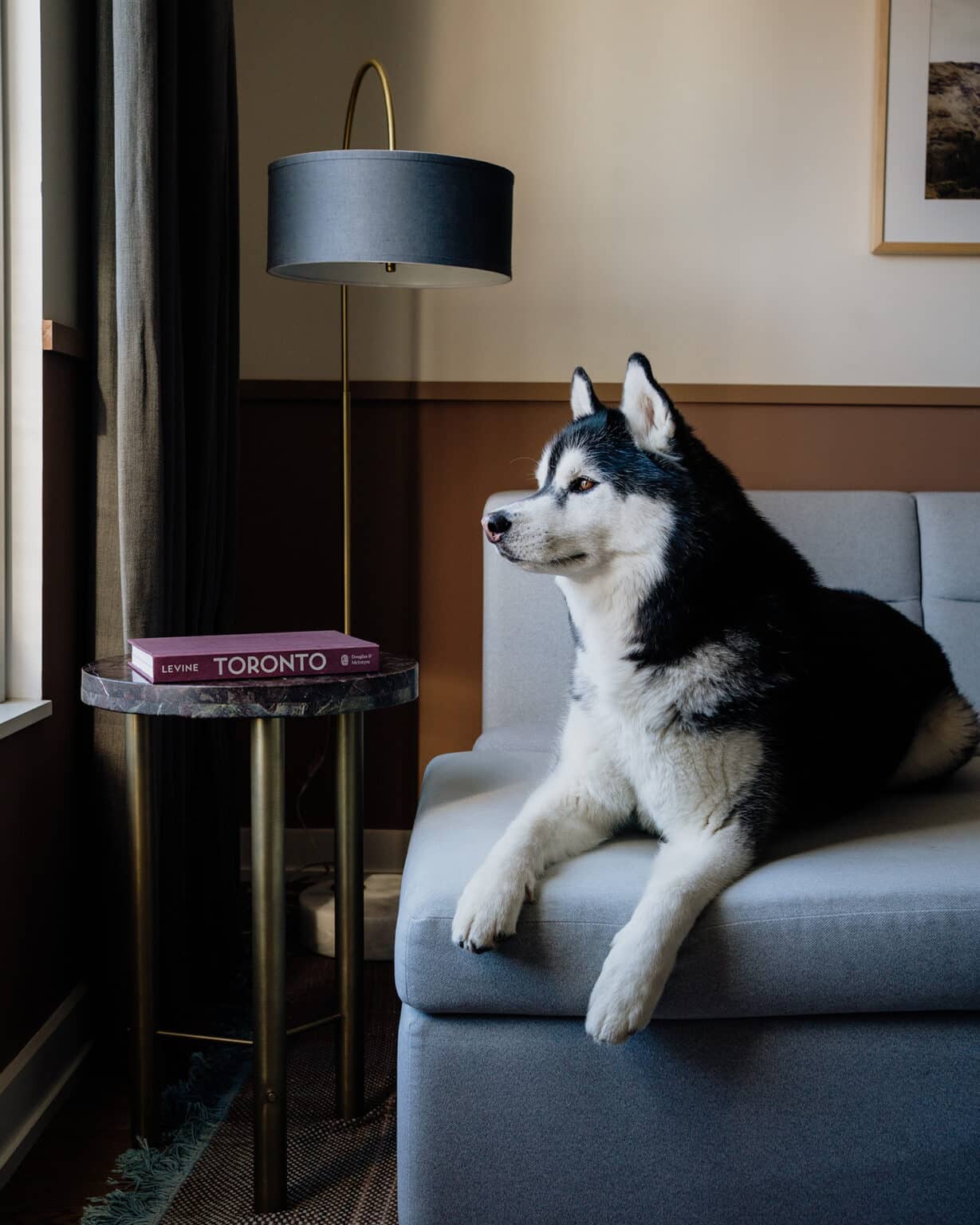 A Guide to Dog-Friendly Toronto: Where to Stay and Explore With your Dog
